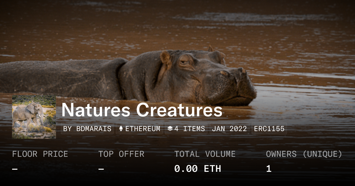 opengraph-image?ts=29188517