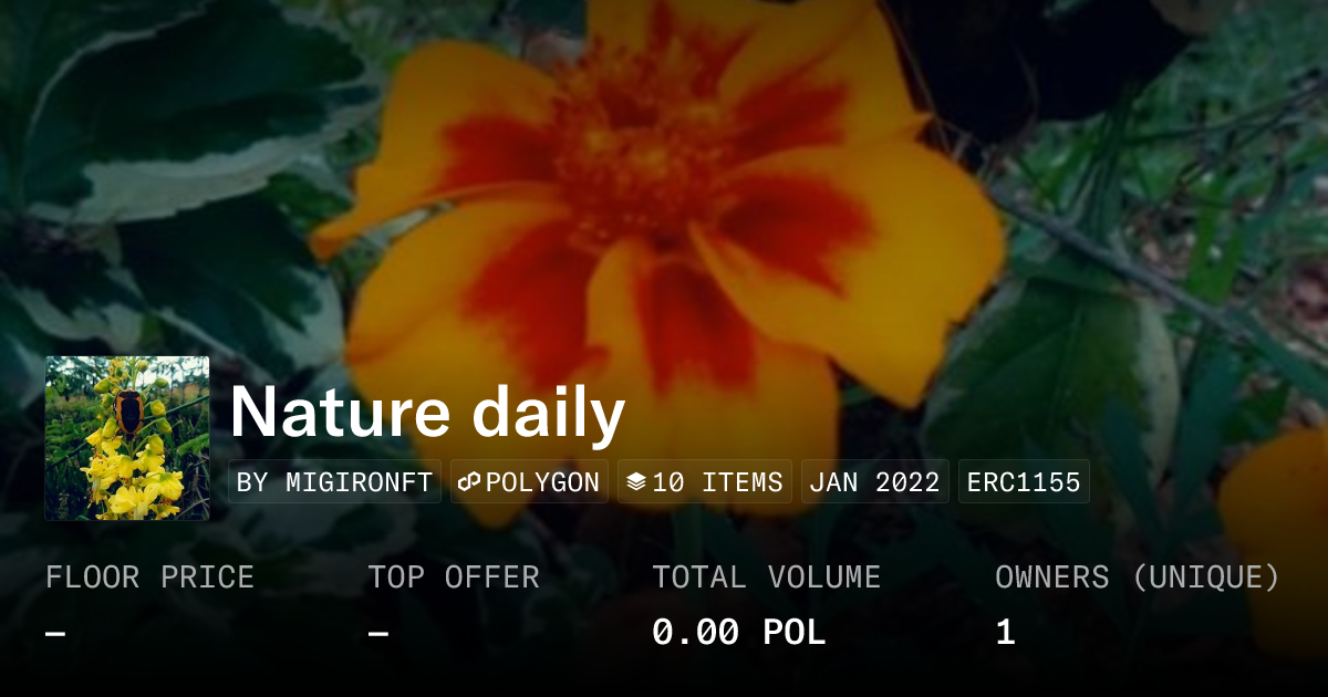 opengraph-image?ts=29189272