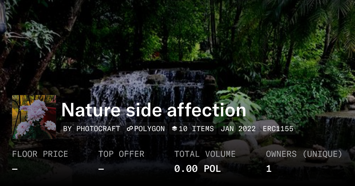 opengraph-image?ts=29191255