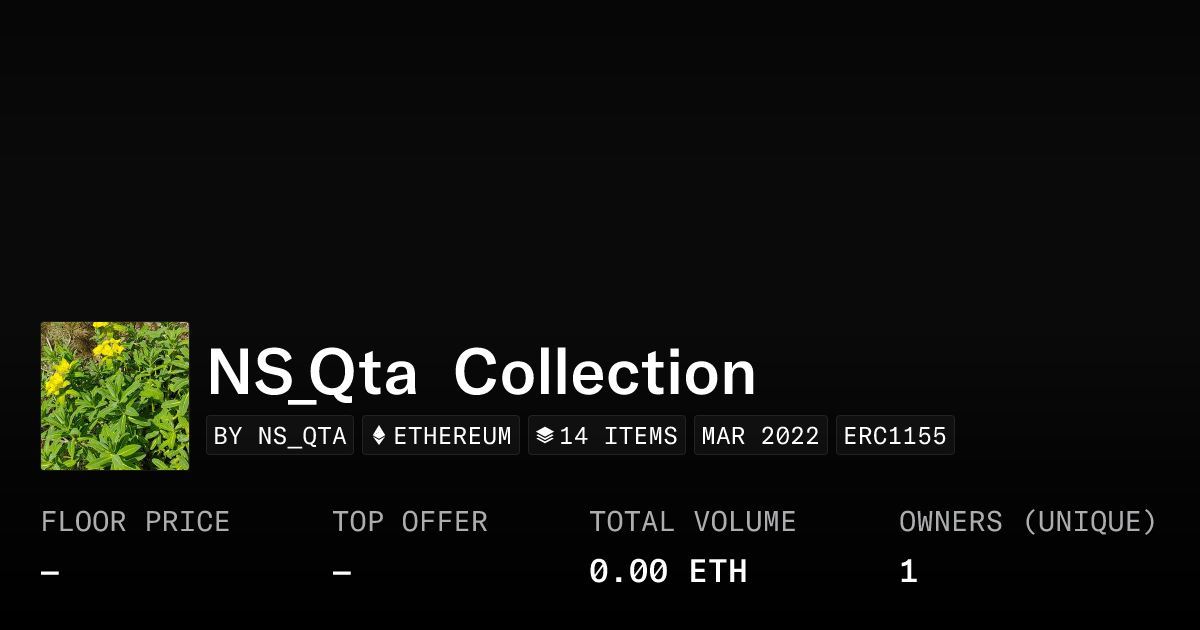 NS_Qta Collection - Collection | OpenSea
