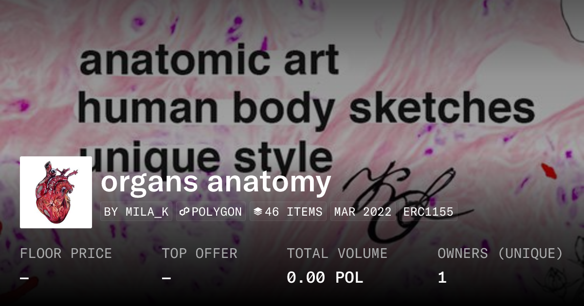 organs anatomy - Collection | OpenSea