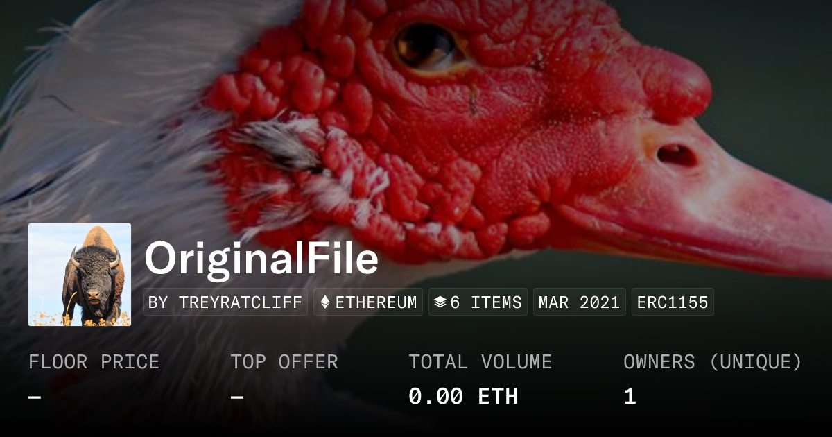 OriginalFile - Collection | OpenSea