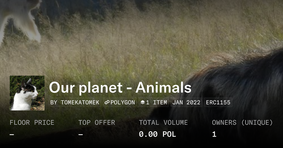 Our planet - Animals - Collection | OpenSea