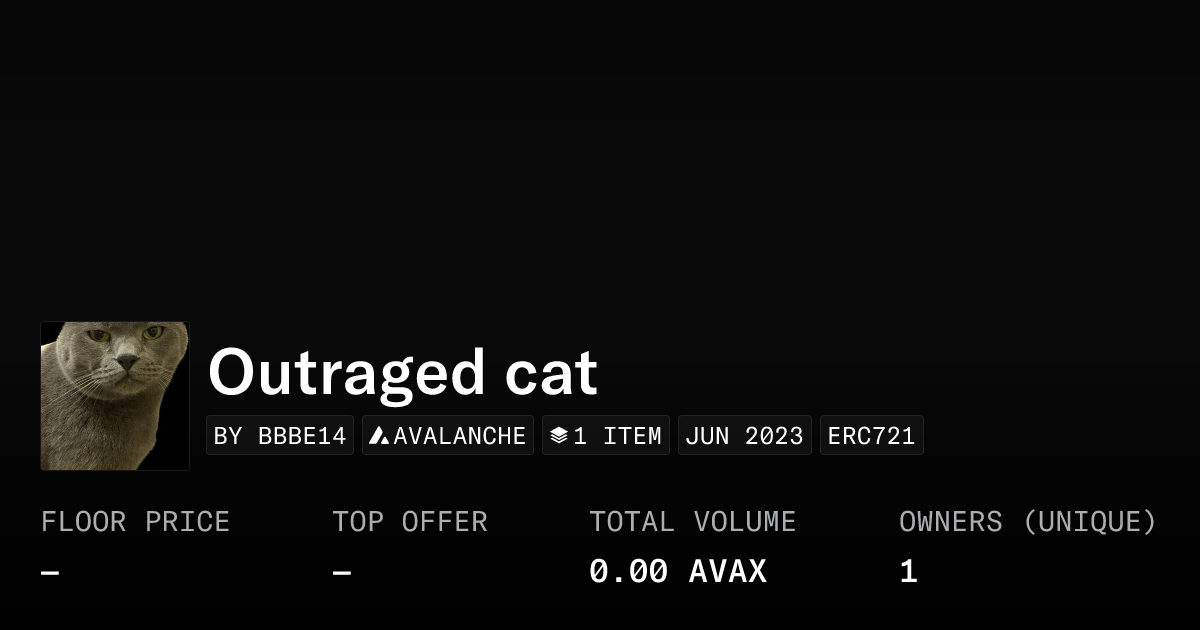 Outraged cat - Collection | OpenSea