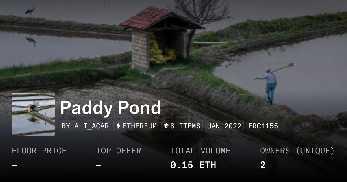 Paddy Pond - Collection | OpenSea