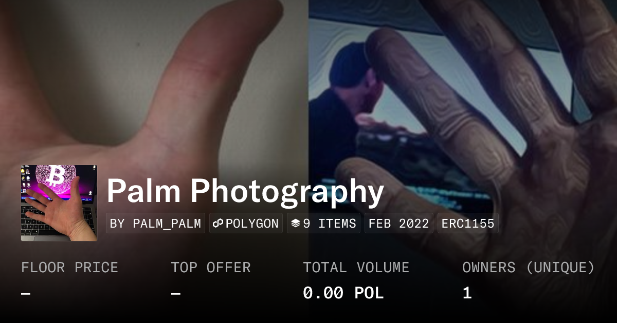 Palm Photography - Collection | OpenSea