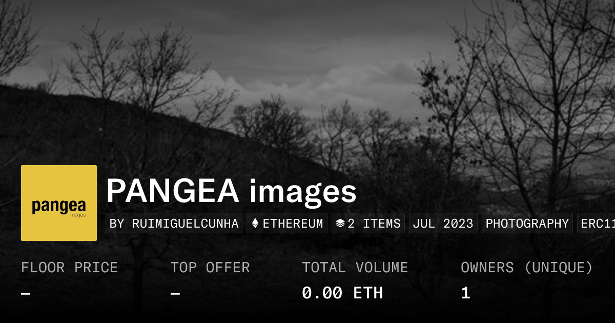 PANGEA images - Collection | OpenSea