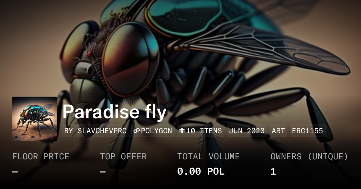 Paradise fly - Collection | OpenSea