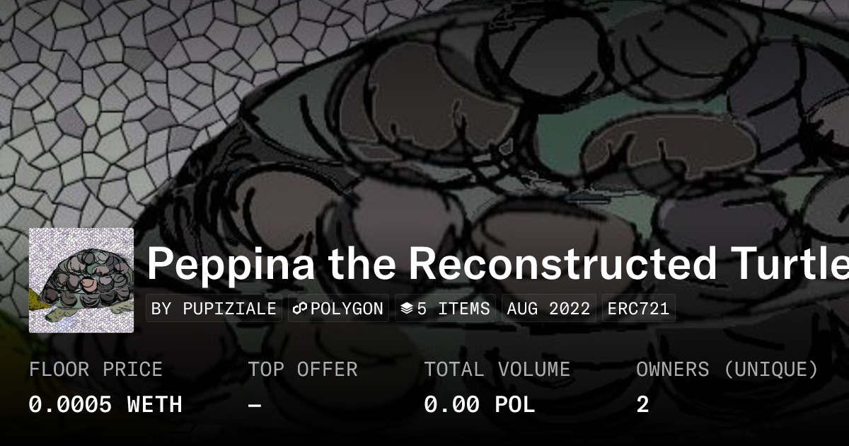 Peppina the Reconstructed Turtle - Collection | OpenSea