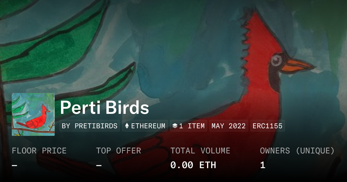 Perti Birds - Collection | OpenSea