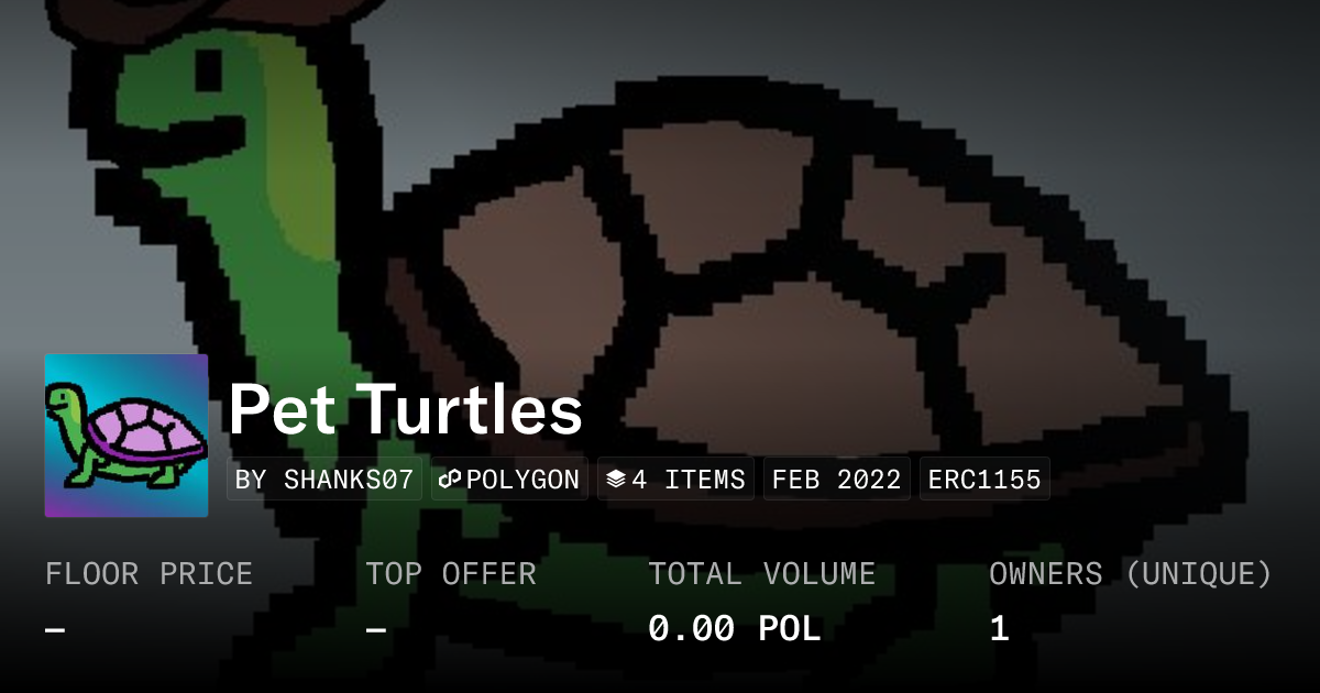 Pet Turtles - Collection | OpenSea