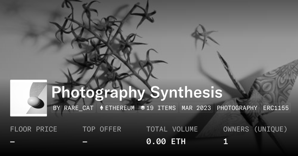 opengraph-image?ts=29204041