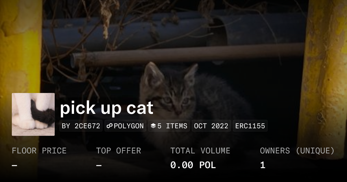 pick up cat - Collection | OpenSea