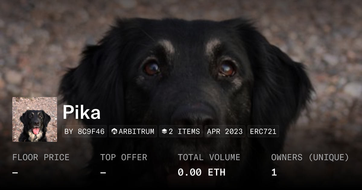 Pika - Collection | OpenSea