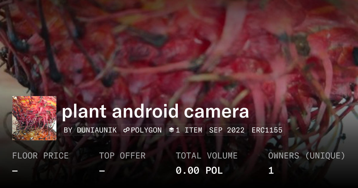 opengraph-image?ts=29190242