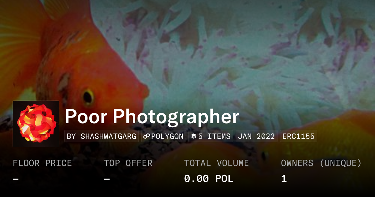 opengraph-image?ts=29195191