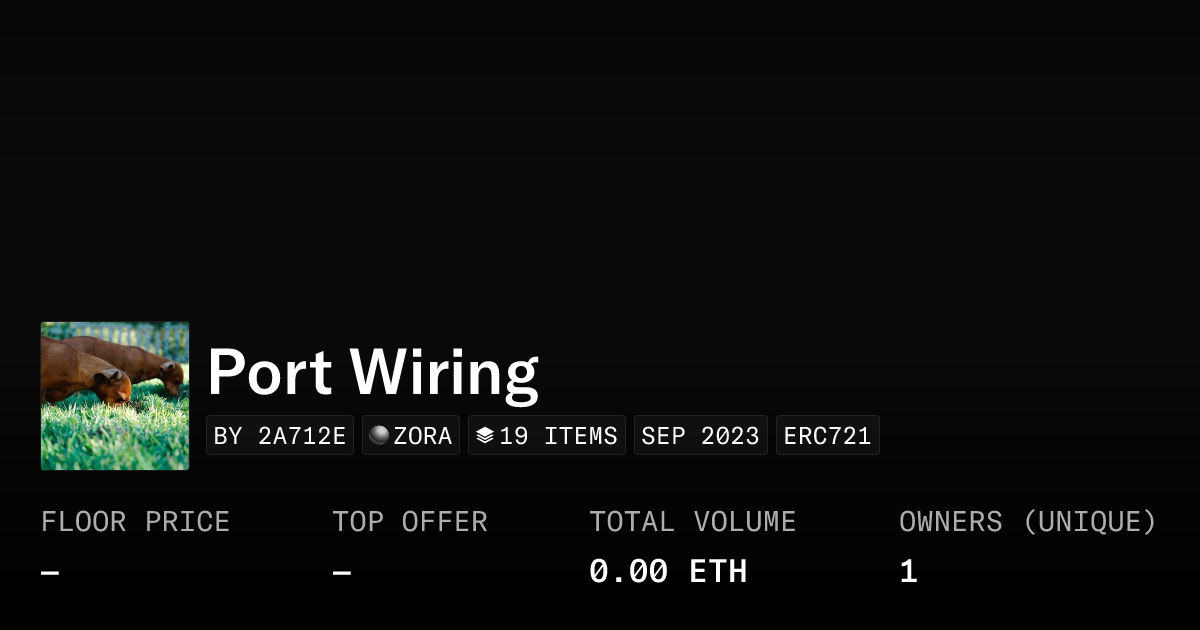 Port Wiring - Collection | OpenSea