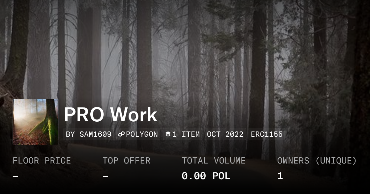 PRO Work - Collection | OpenSea
