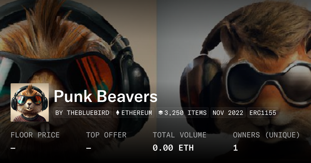 Punk Beavers - Collection | OpenSea