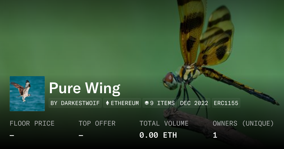 Pure Wing - Collection | OpenSea