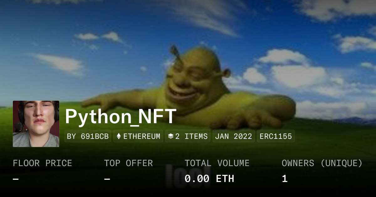 Python_NFT - Collection | OpenSea