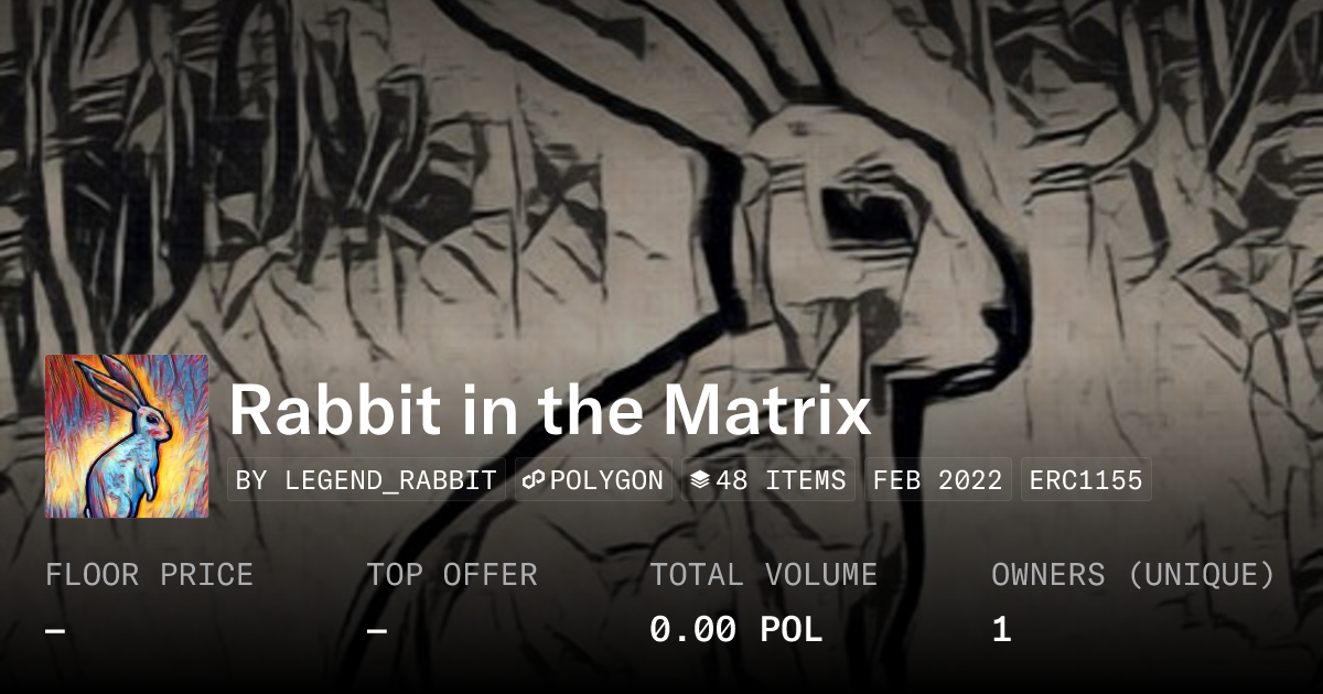 Rabbit in the Matrix - Collection | OpenSea