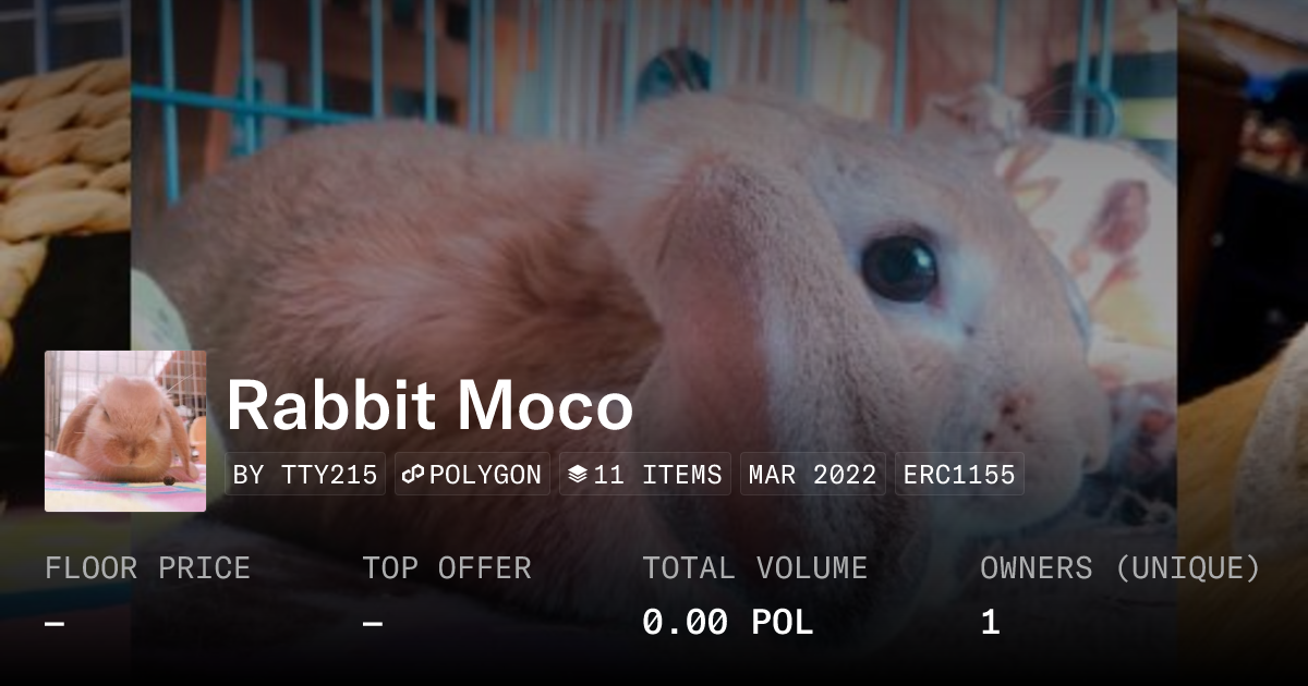 opengraph-image?ts=29202817