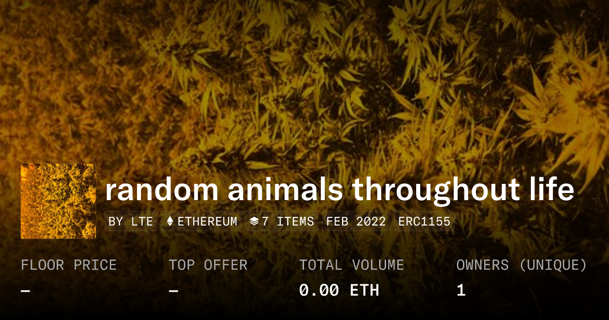 random animals throughout life - Collection | OpenSea