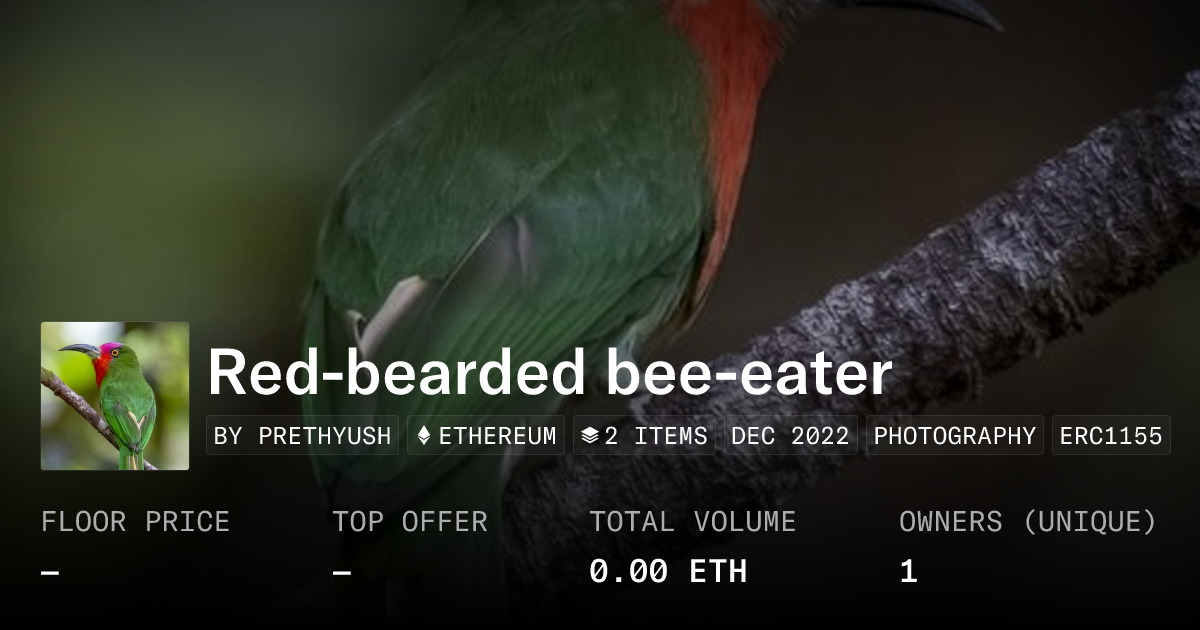 opengraph-image?ts=29209628