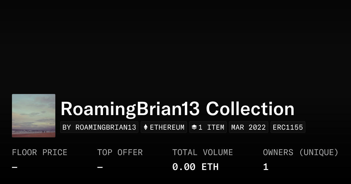 RoamingBrian13 Collection - Collection | OpenSea