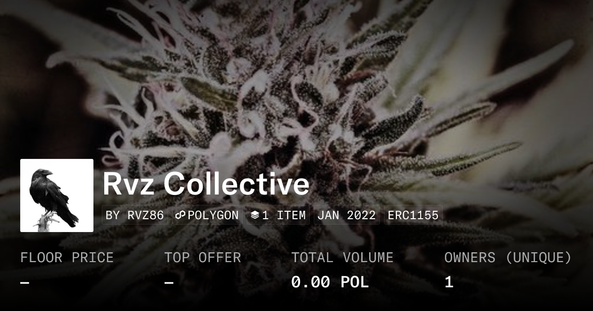 opengraph-image?ts=29203158