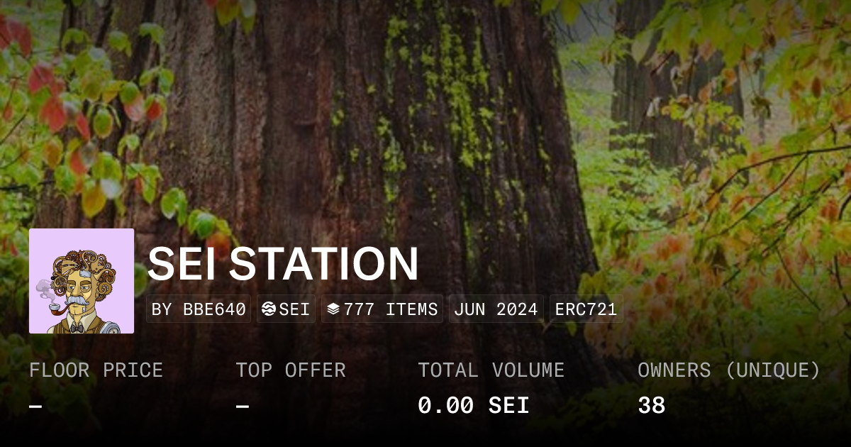 SEI STATION - Collection | OpenSea