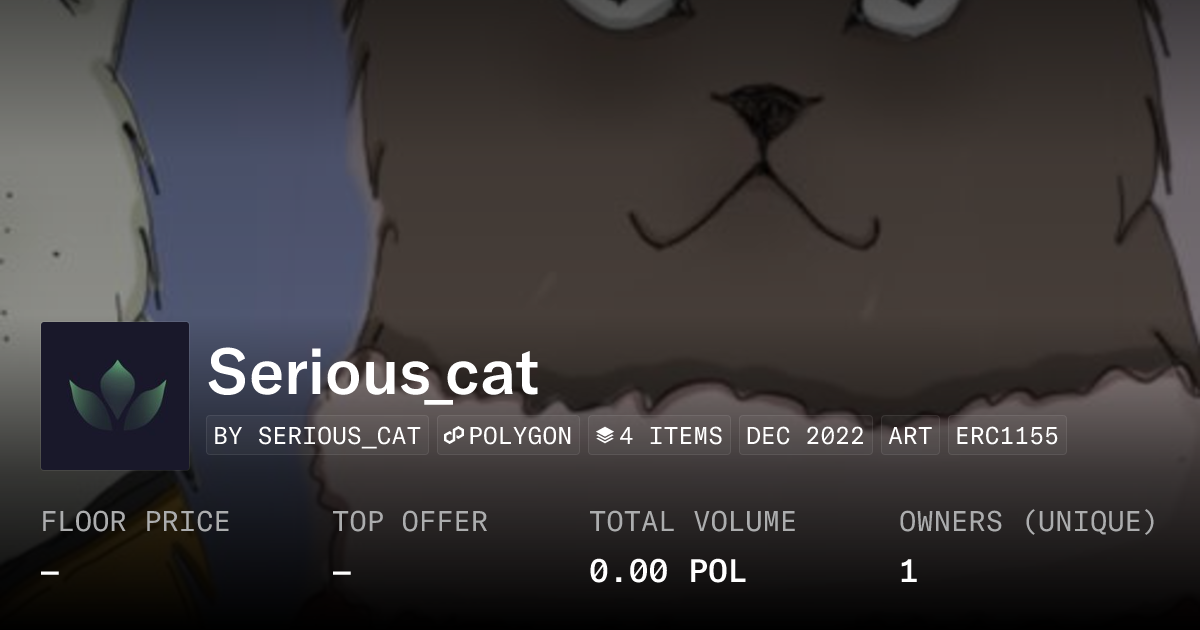 Serious_cat - Collection | OpenSea