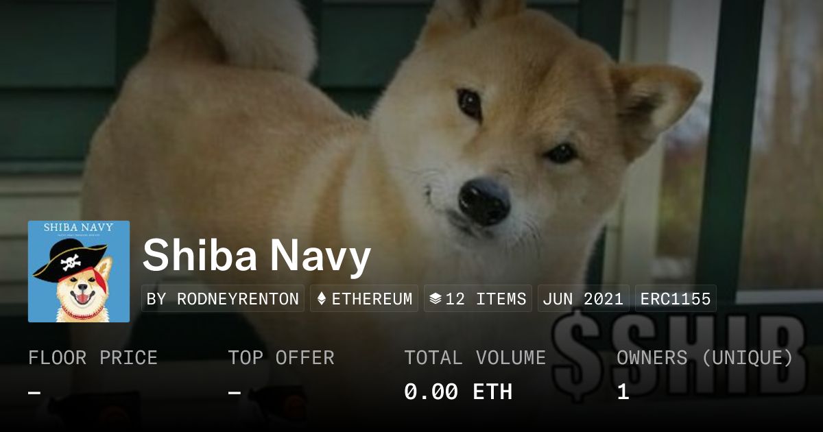 opengraph-image?ts=29203252