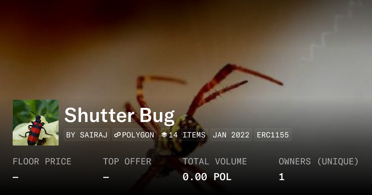 Shutter Bug - Collection | OpenSea