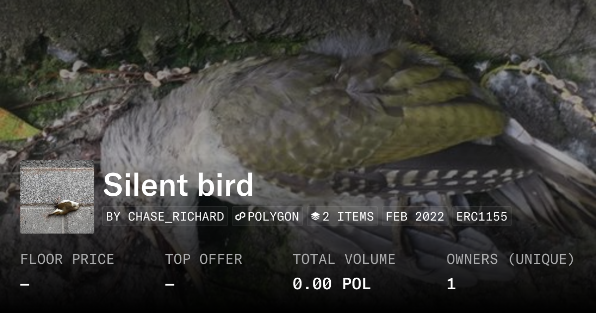 Silent bird - Collection | OpenSea