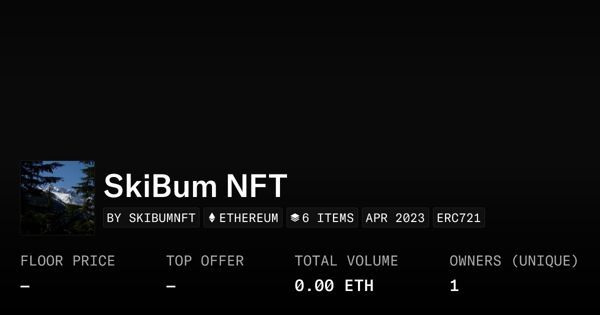 SkiBum NFT - Collection | OpenSea