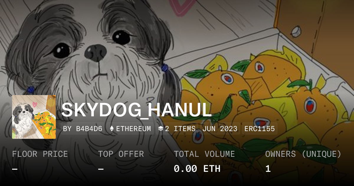 SKYDOG_HANUL - Collection | OpenSea