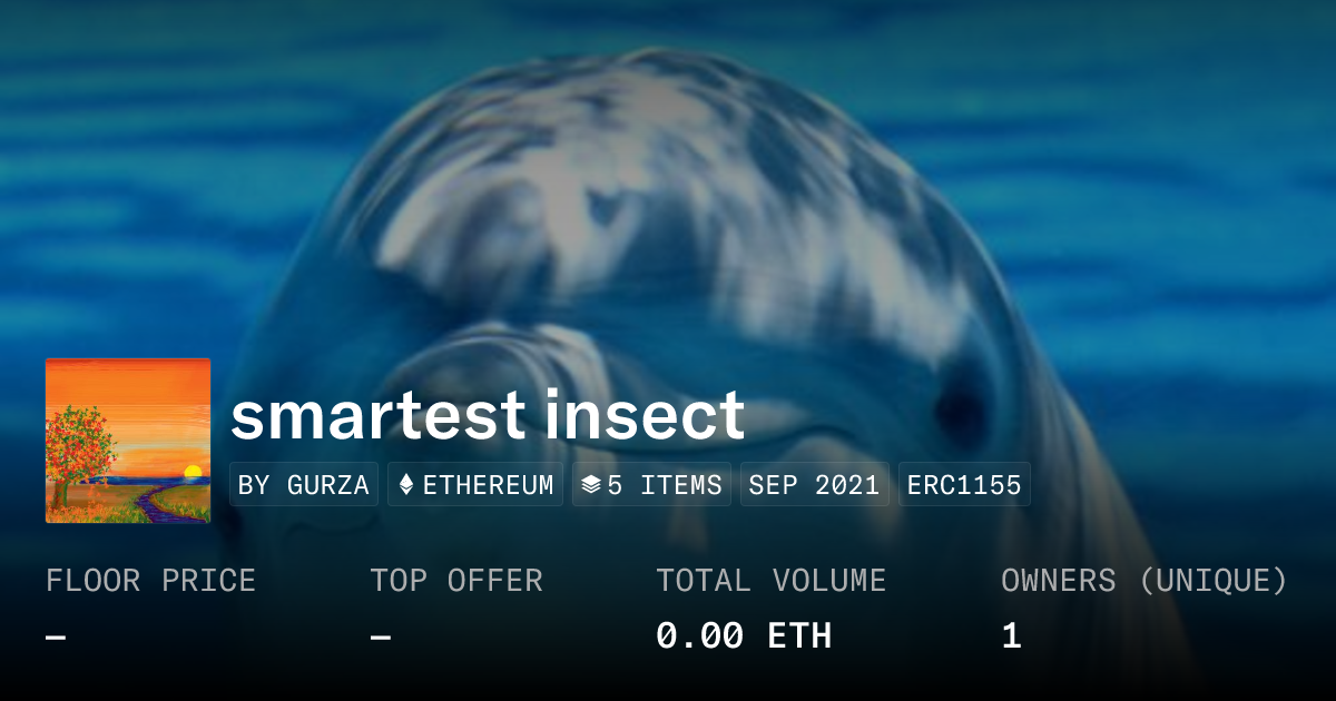 smartest insect - Collection | OpenSea