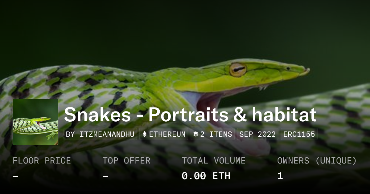 Snakes - Portraits & habitat - Collection | OpenSea