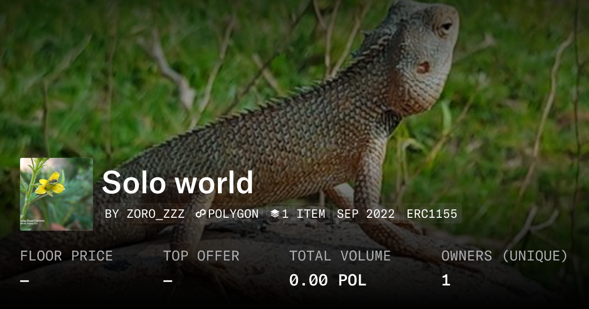 Solo world - Collection | OpenSea