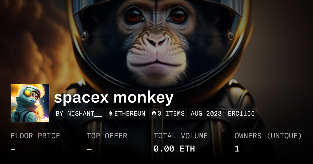 spacex monkey - Collection | OpenSea