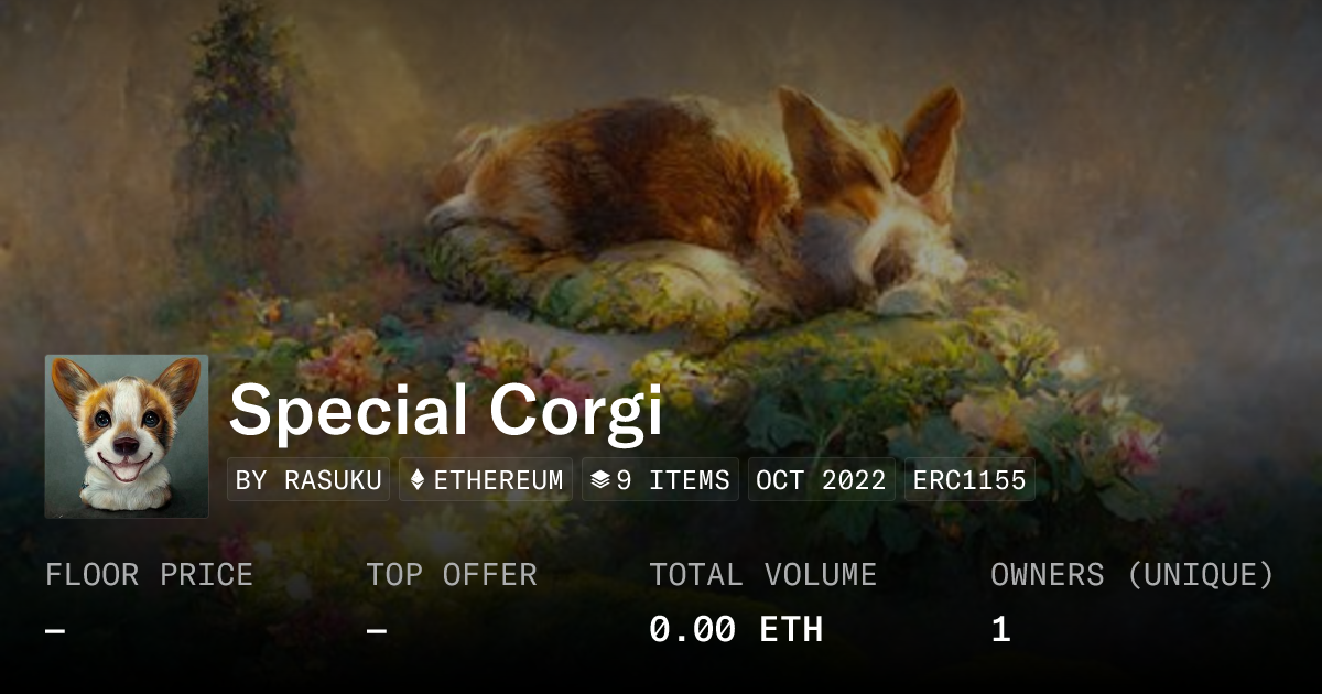 Special Corgi - Collection | OpenSea