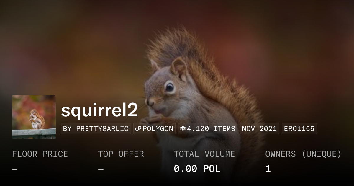 squirrel2 - Collection | OpenSea