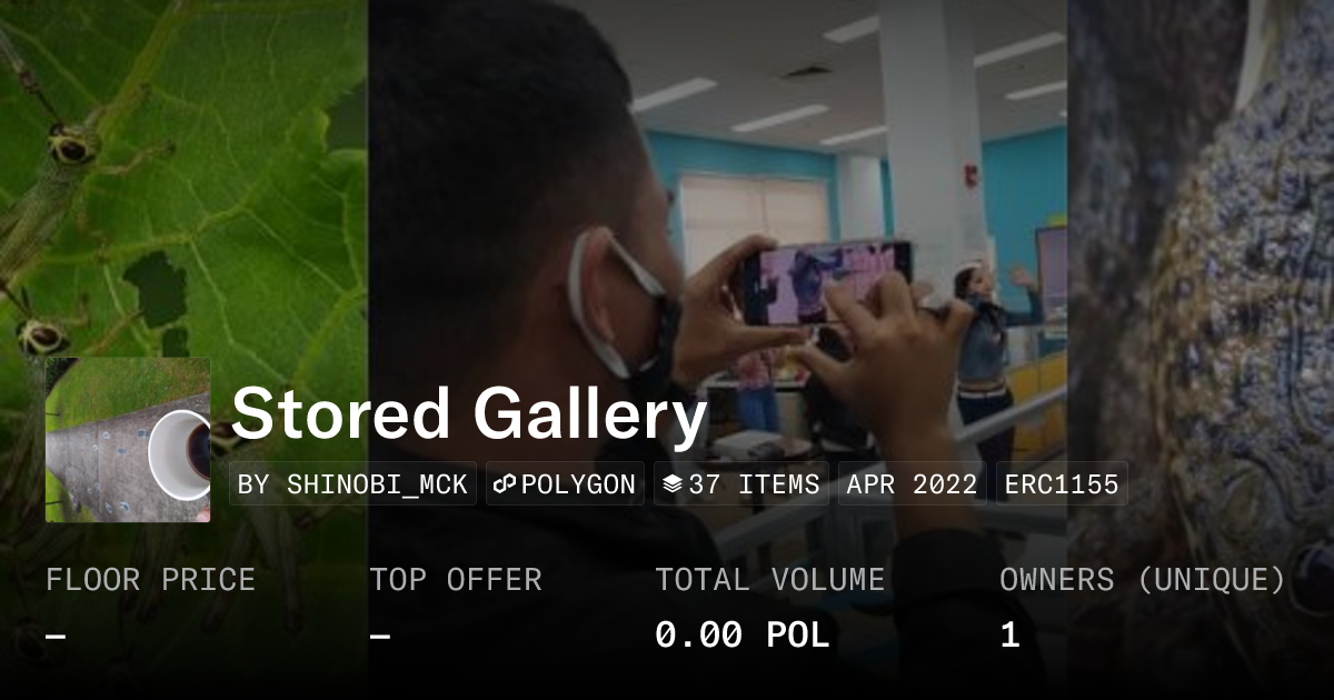 Stored Gallery - Collection | OpenSea