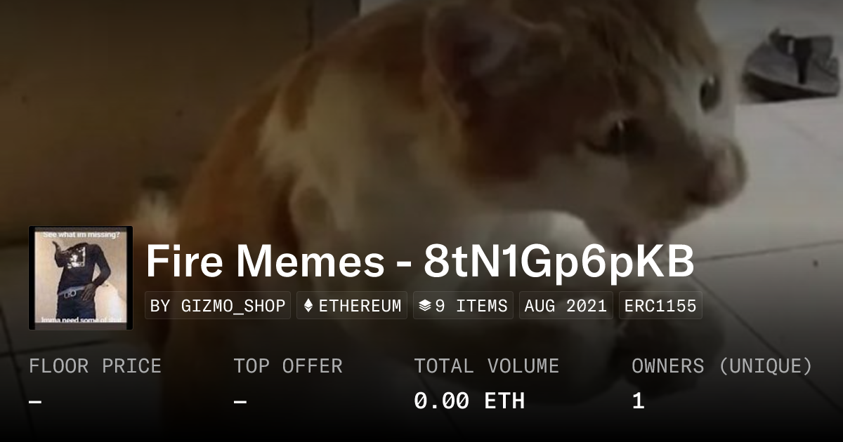 Fire Memes - 8tN1Gp6pKB - Collection | OpenSea