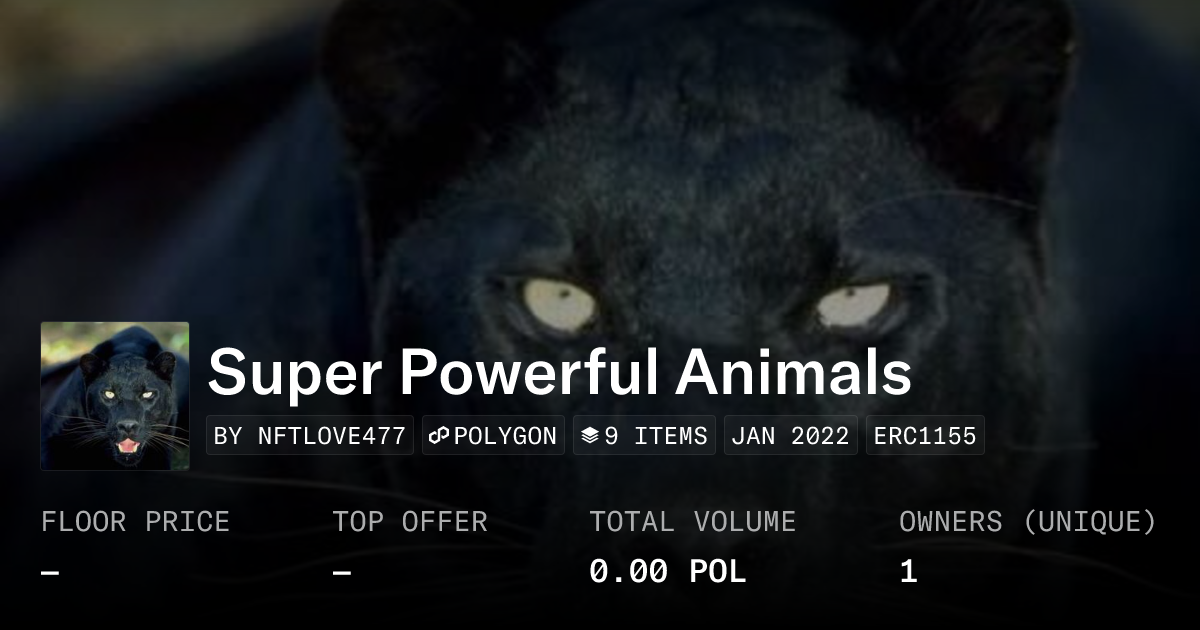 opengraph-image?ts=29197485