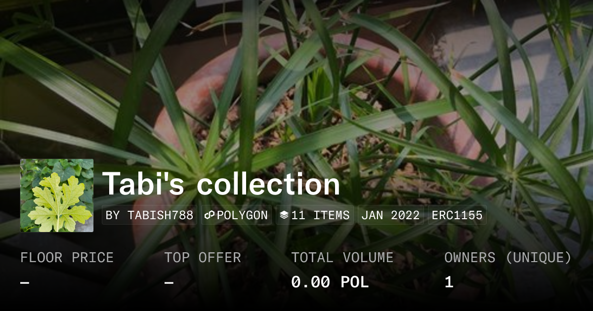 Tabi's collection - Collection | OpenSea