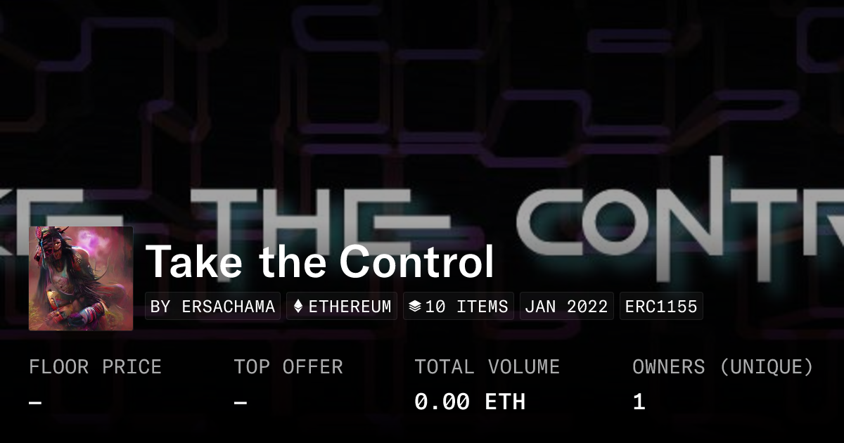 Take the Control - Collection | OpenSea