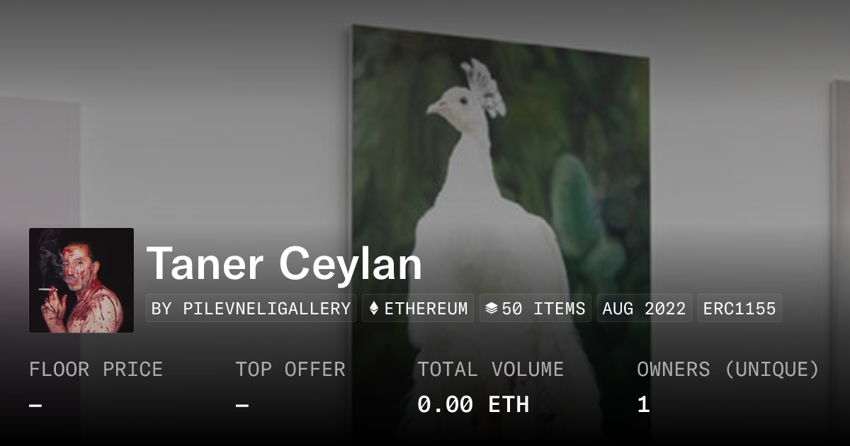 Taner Ceylan - Collection | OpenSea